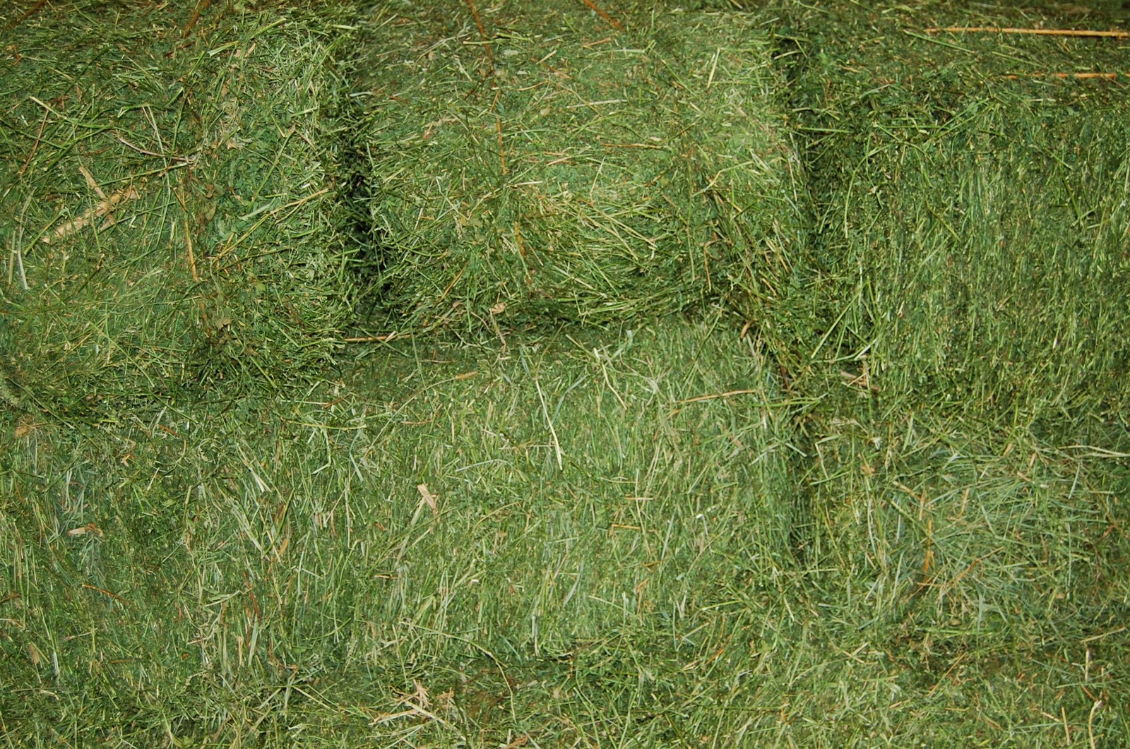 Crosswinds Farm: Good-bye summer