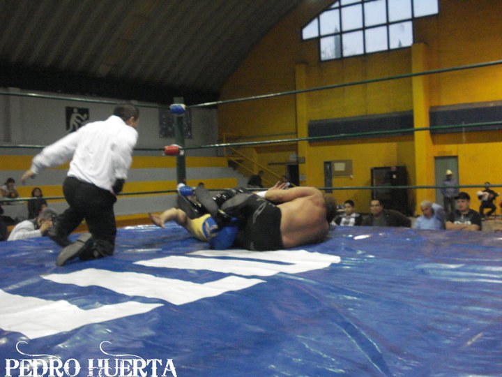 RdR: TIGRE UNIVERSITARIO RAPA A LUIS REYNA