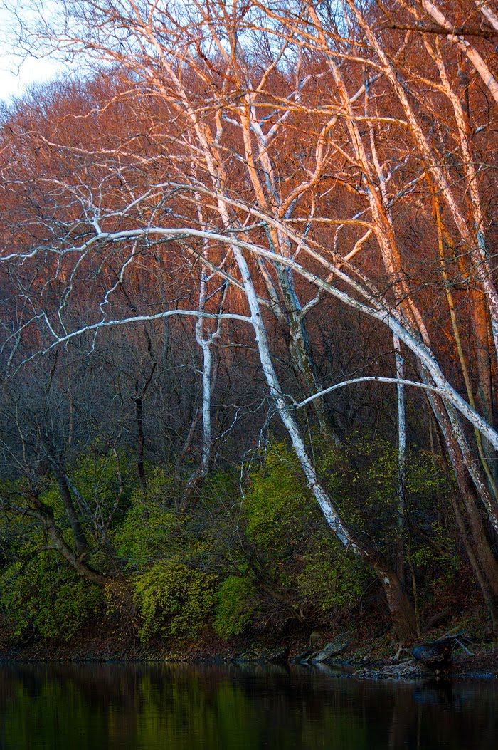 Red and the Peanut: The Beauty of the Little Miami River