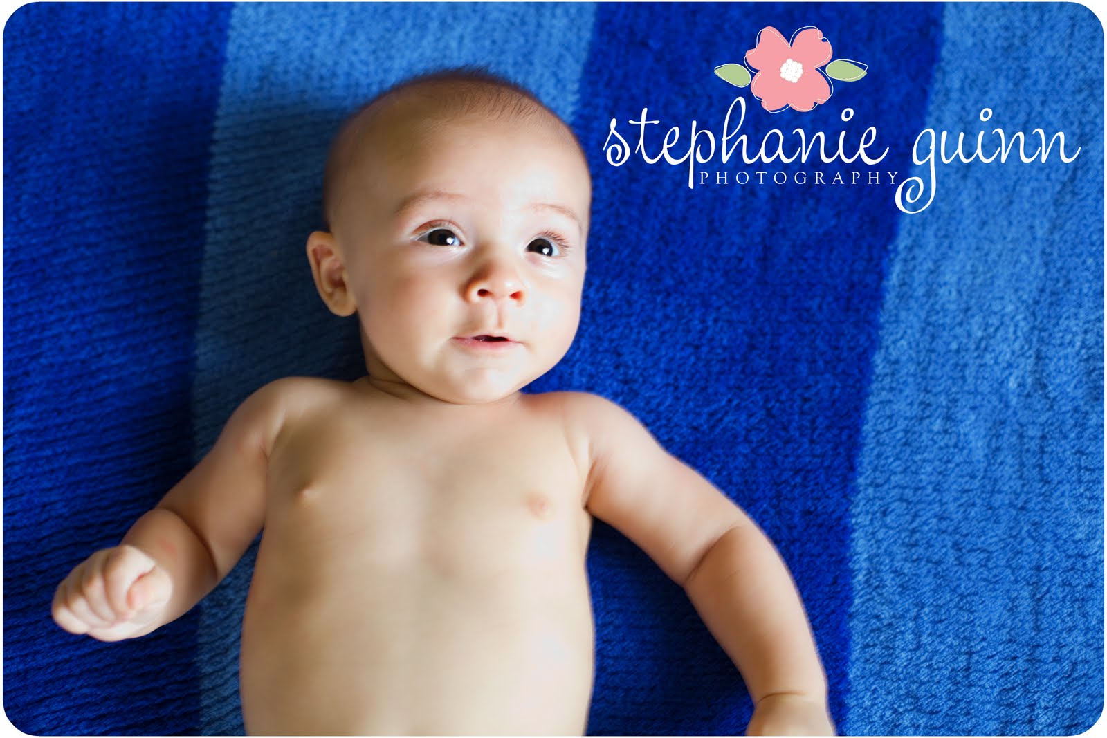 Stephanie Guinn Photography
