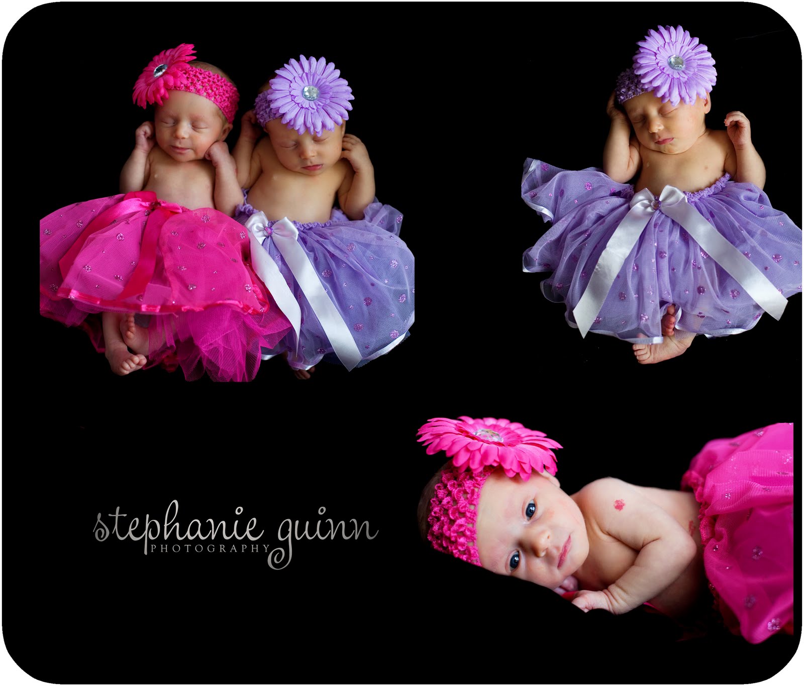 Stephanie Guinn Photography