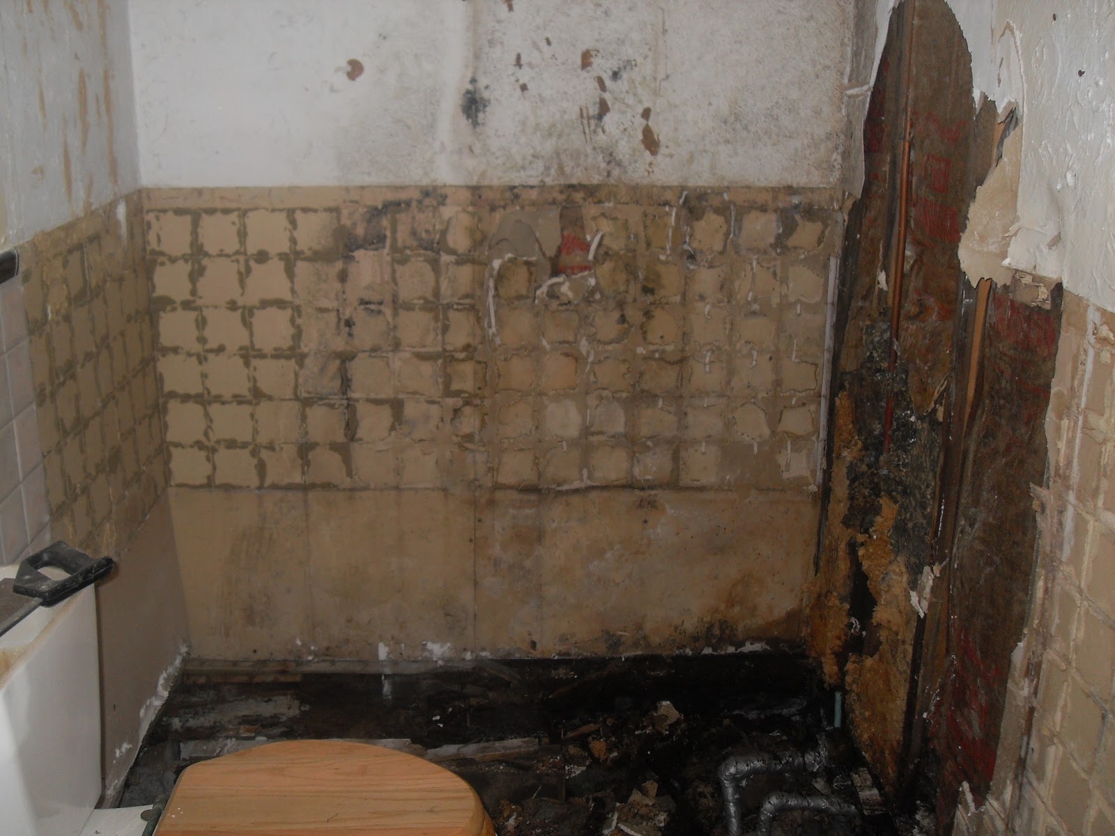 CONFESSIONS OF A CRAFTY QUEEN*~*..: ..OUR BATHROOM DISASTER BEFORE AND ...