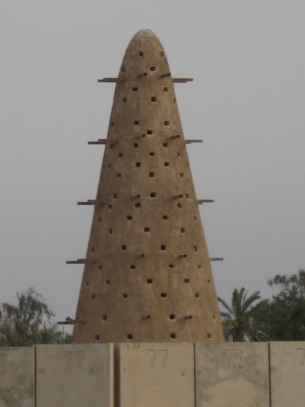 Law of the Land: Of apples and bats