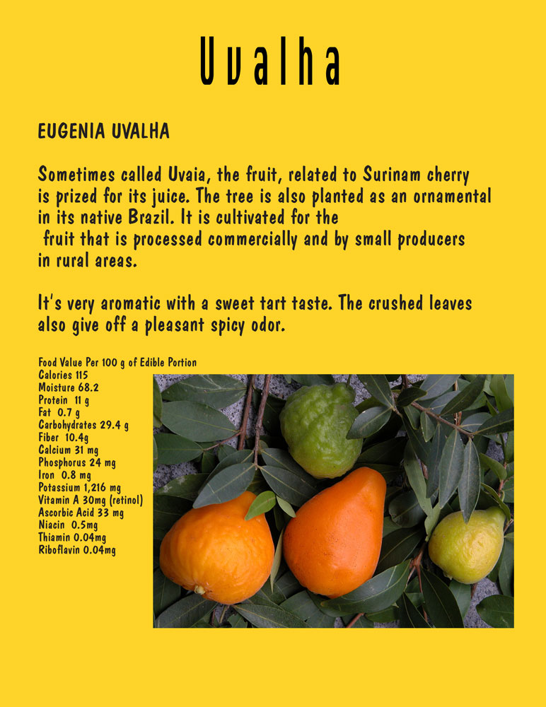 Musicontos: EUGENIA UVALHA (Uvaia)