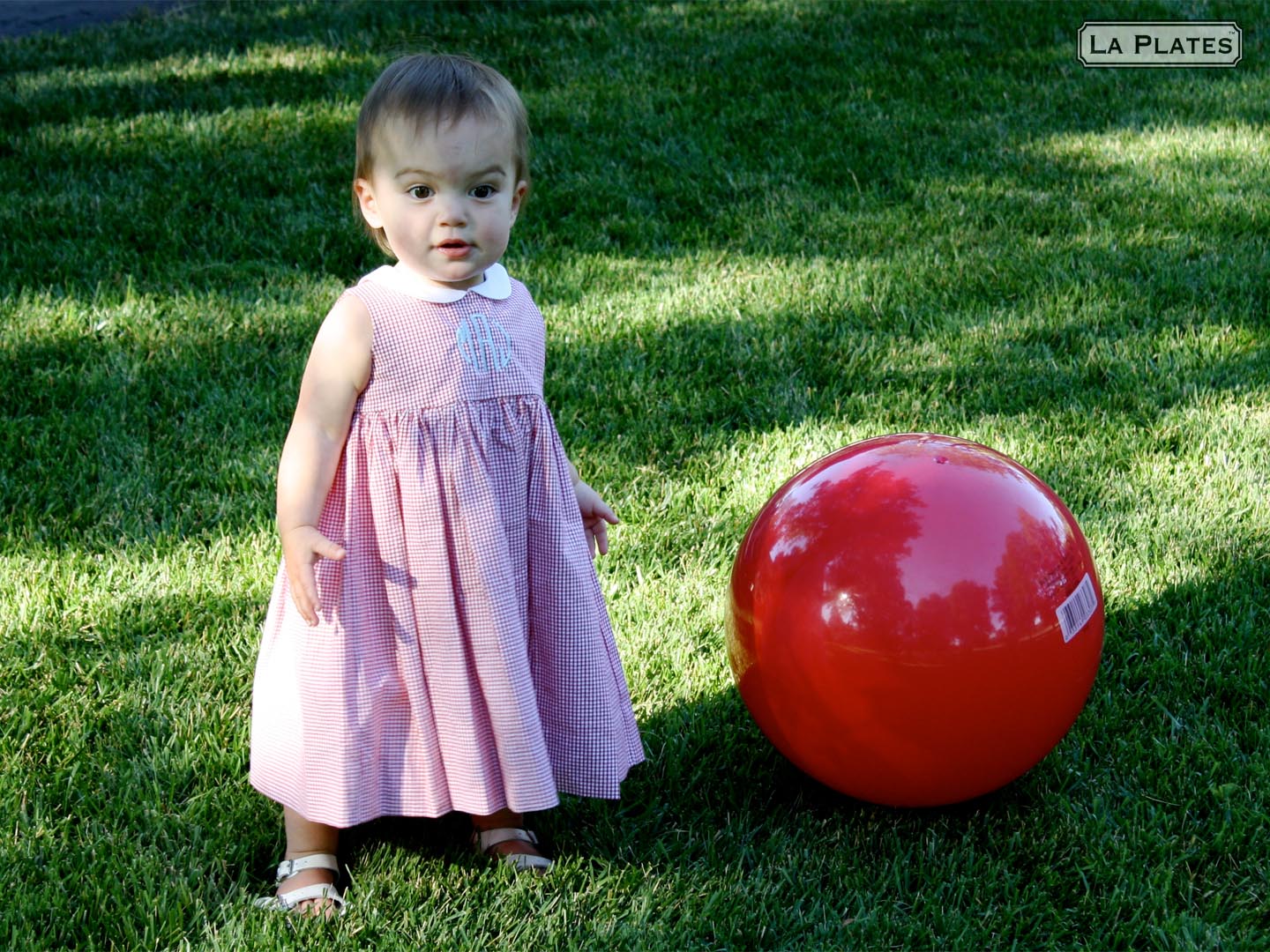 La Plates Blog: BBQ + fireworks