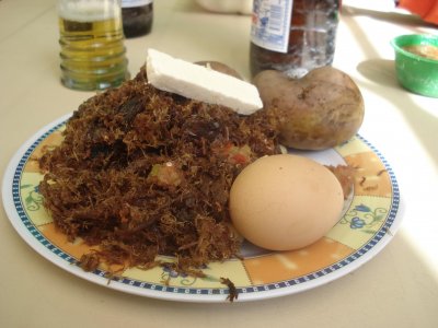 RU Service Learning in Bolivia: Charque