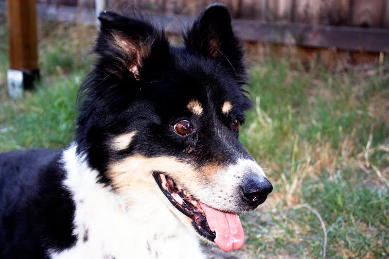 Seriously... Thoughts?: Morpheus