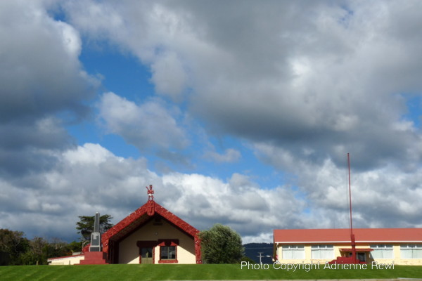Introducing Maori Lifestyles: Te Kaha - An East Coast Marae
