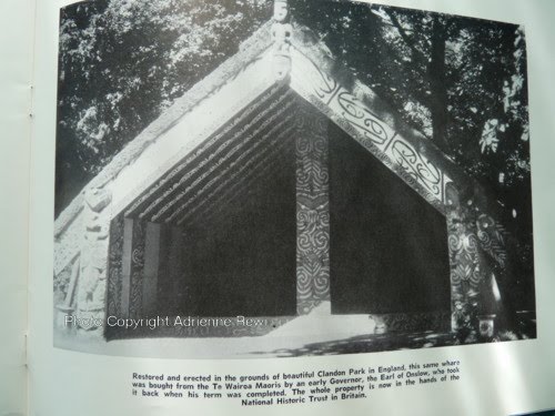 Introducing Maori Lifestyles: The Buried Village of Te Wairoa - A Book