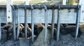 Introducing Maori Lifestyles: Eel Drying