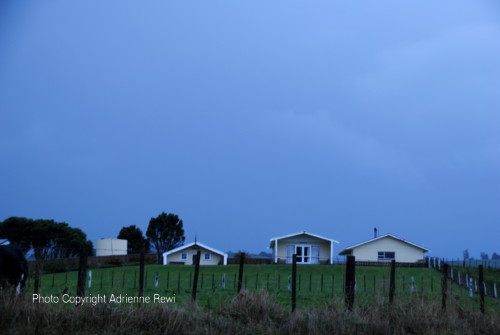 Introducing Maori Lifestyles: A Ngati Mutunga Marae