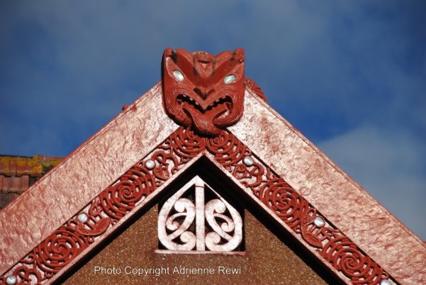 Introducing Maori Lifestyles: October 2010