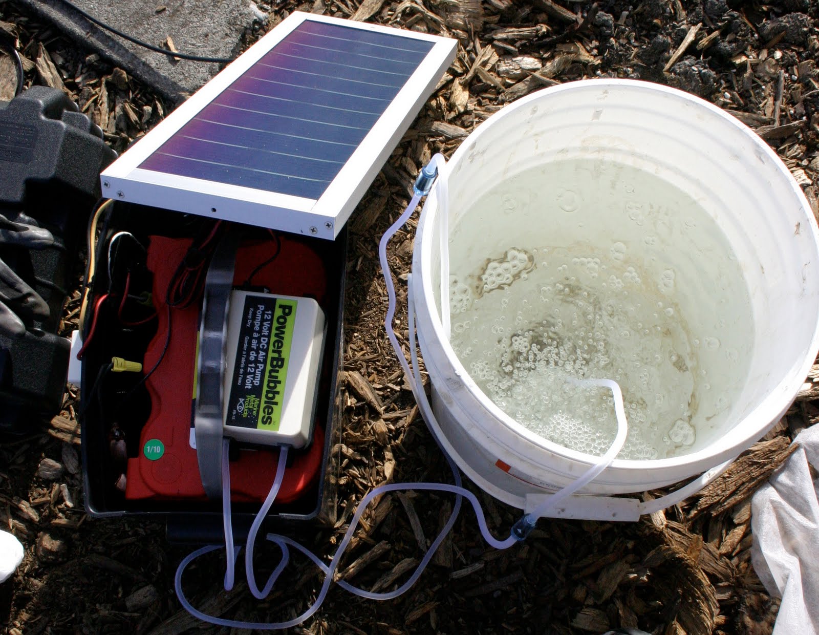 Another (Sub)Urban Homestead: Compost Tea 2.0 Solar Powered