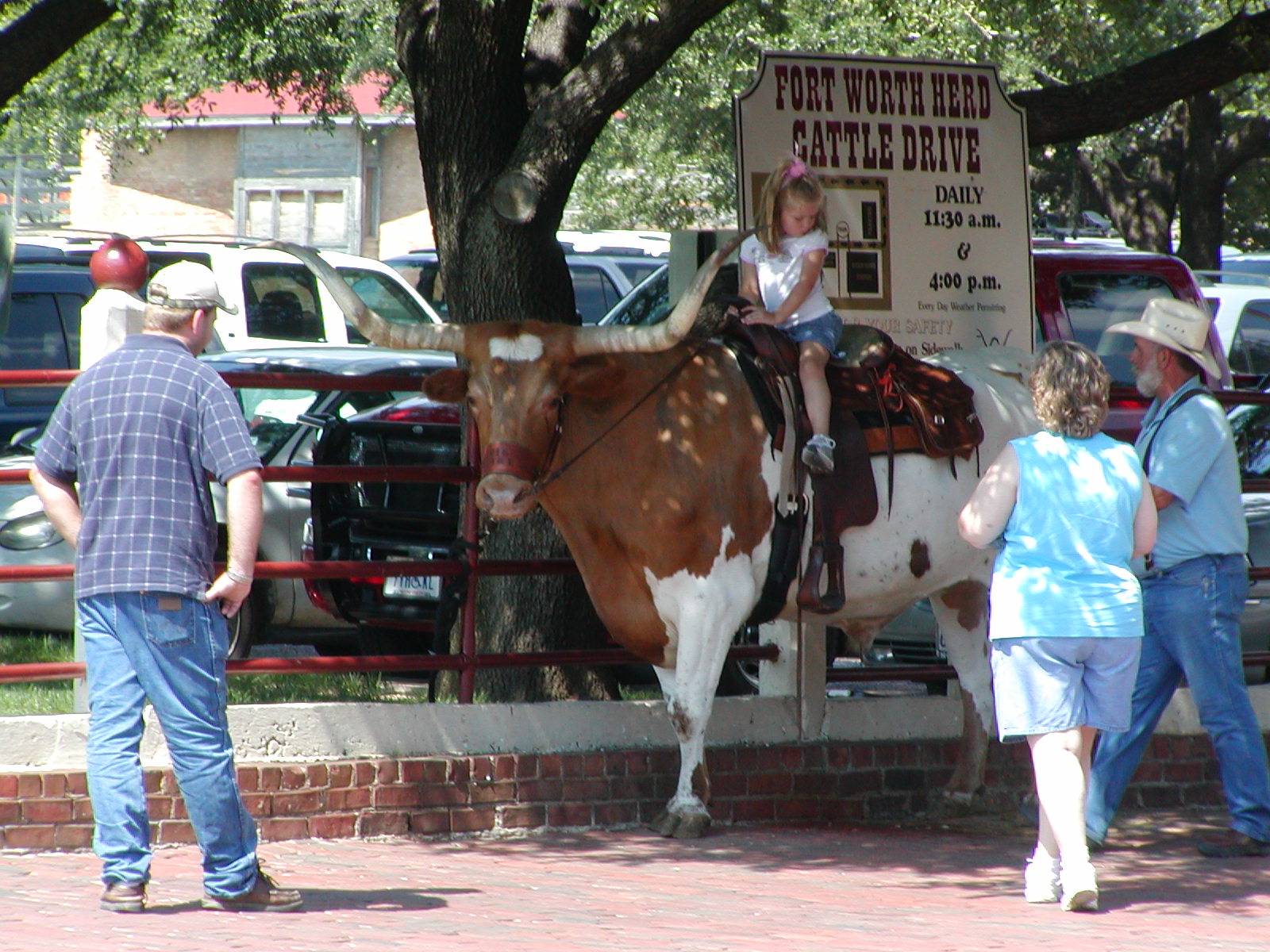 2010 Toronto Firefighters Calendar | Deets Depot