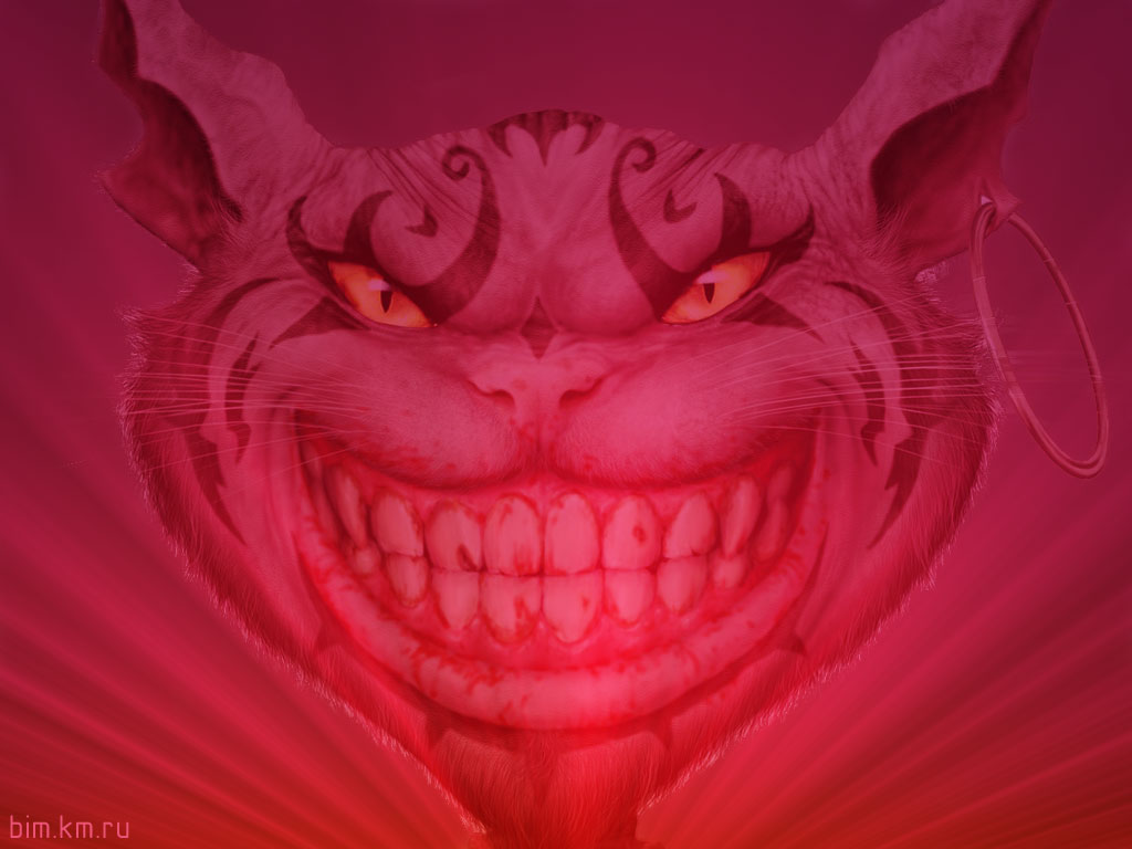 Devil Cat | Free HQ wallpaper