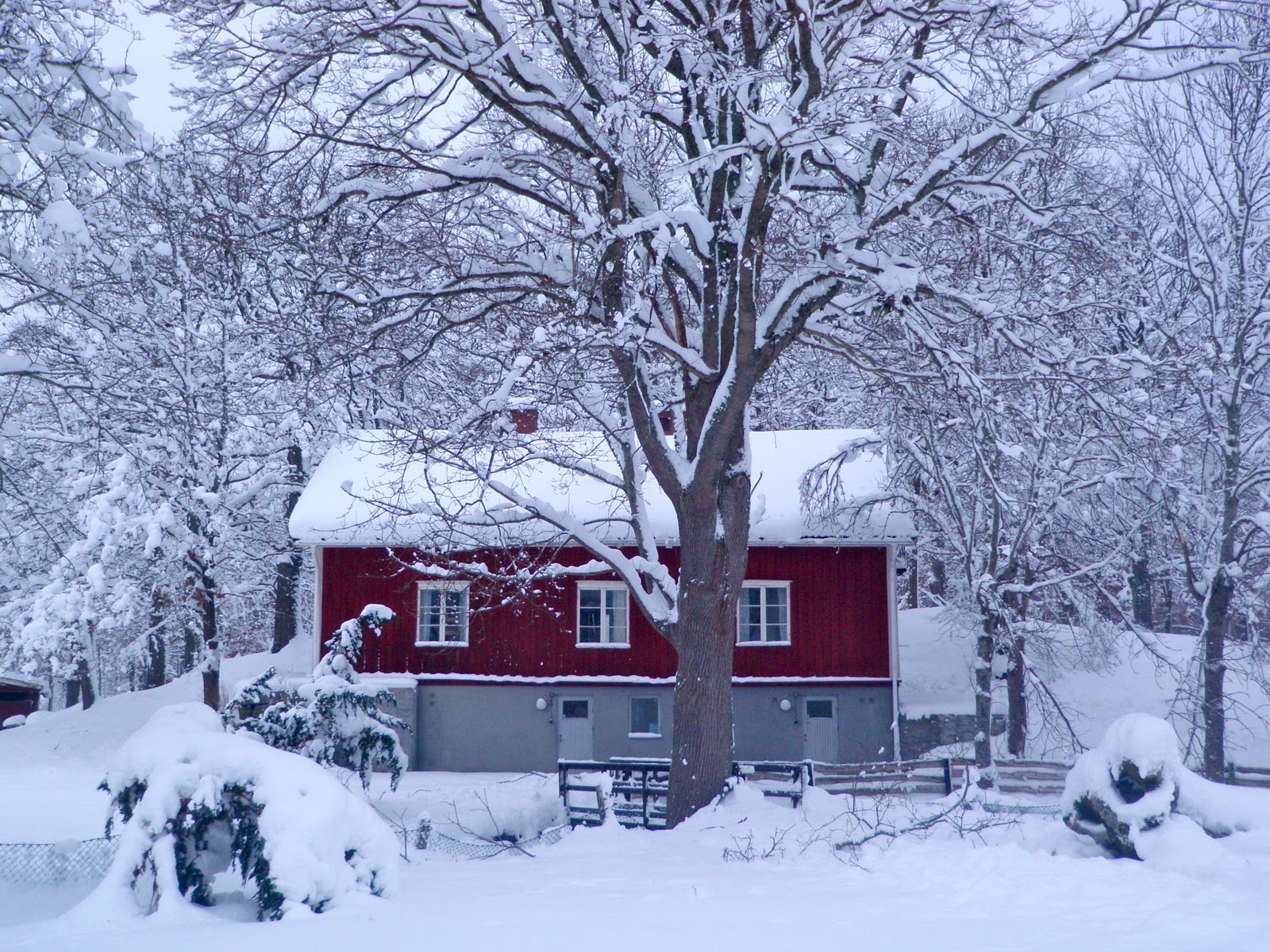 Laura's Life in Sweden: Winter in Sweden