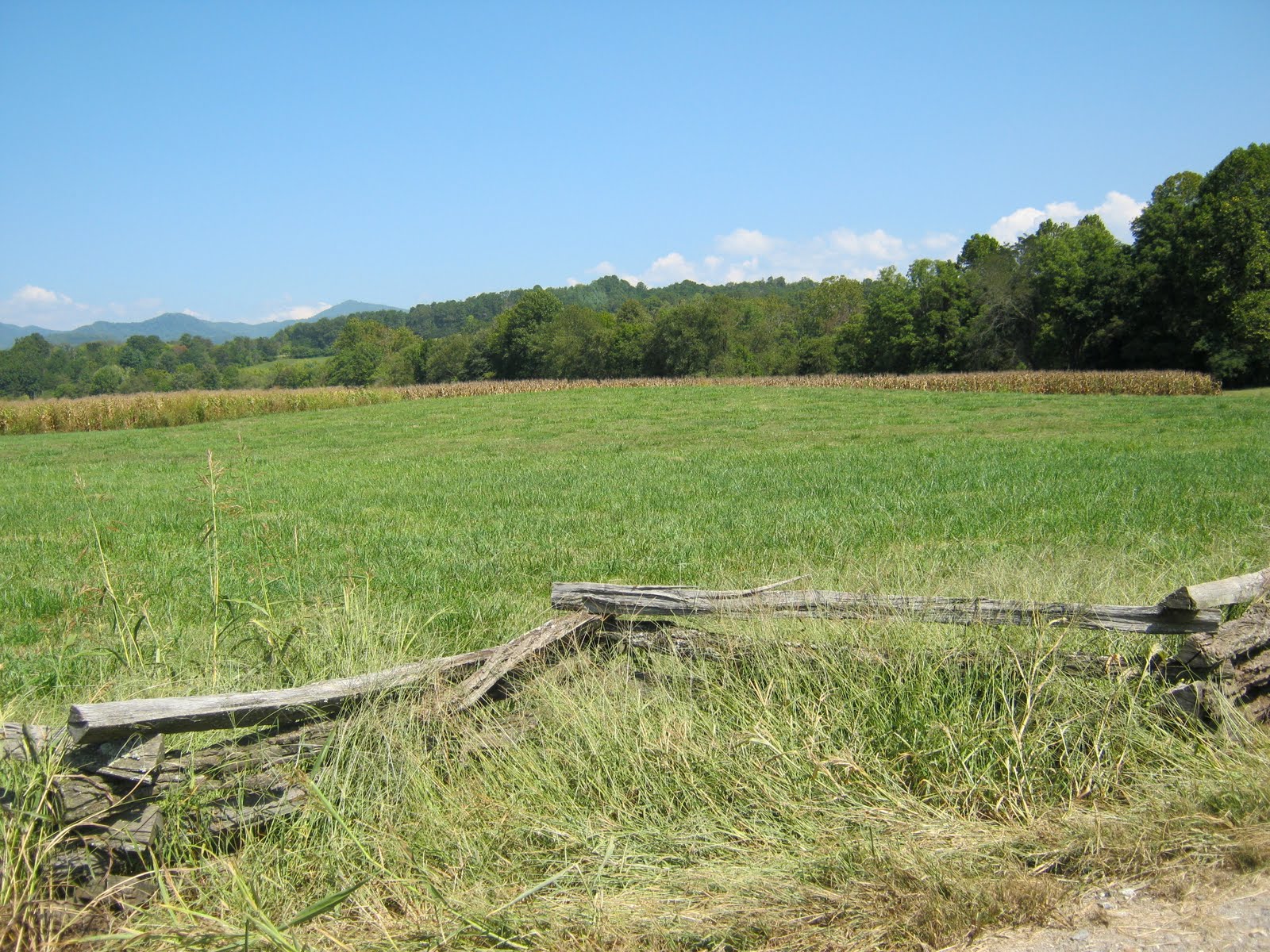 Thoughts from Polly's Granddaughter: Wordless Wednesday - Kituwah Mound