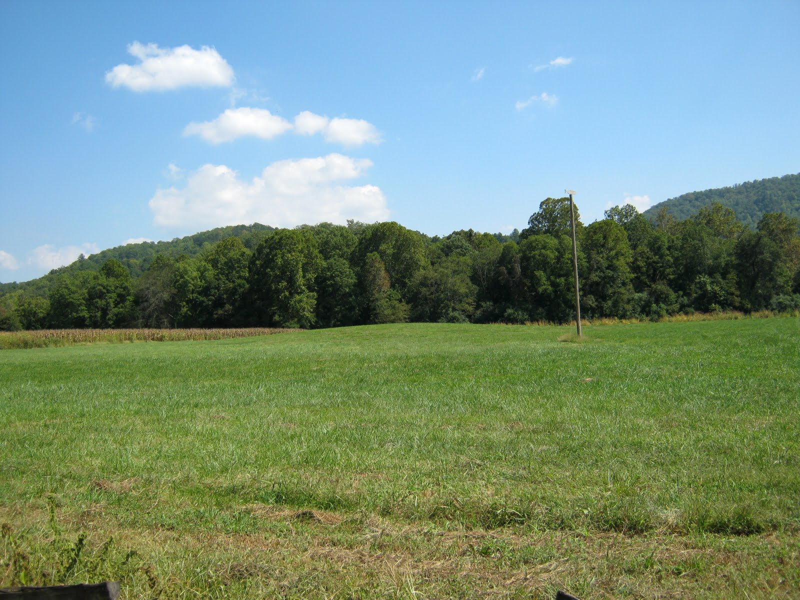 Thoughts from Polly's Granddaughter: Wordless Wednesday - Kituwah Mound