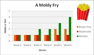 Lesson Plans: A Moldy Fry