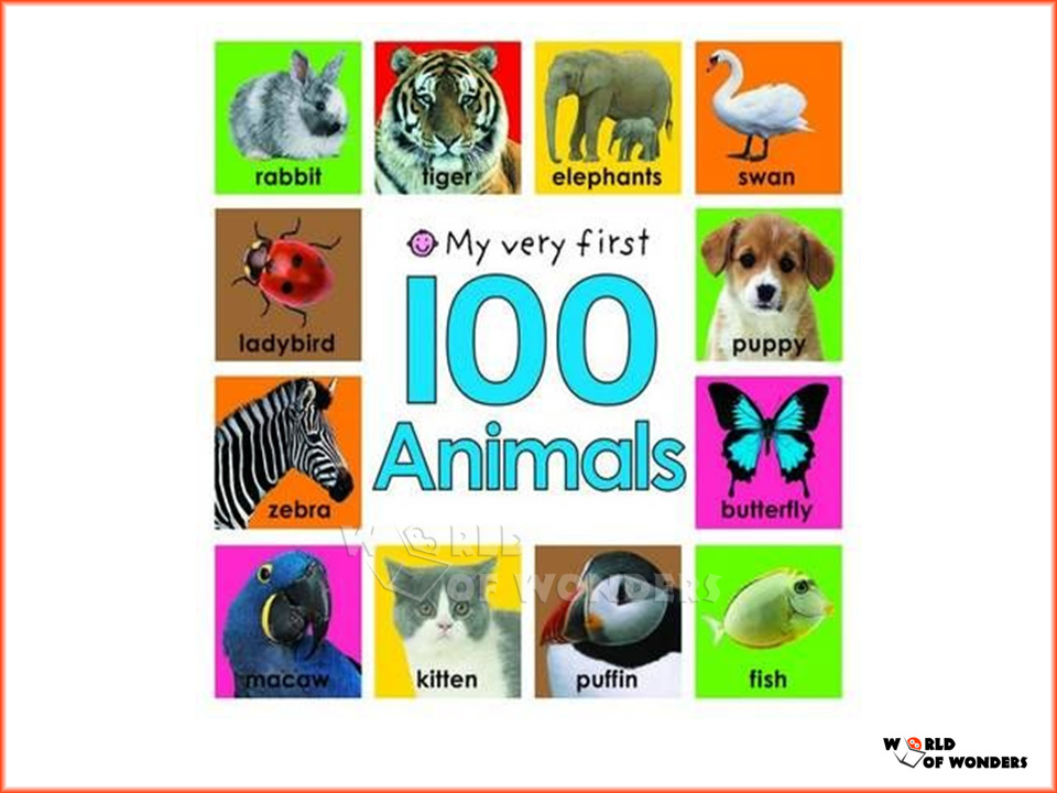 World of Wonders: Bright Baby My Very First 100 Animals