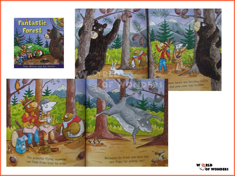 World of Wonders: Amazing Animals Collection