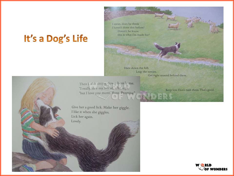 World of Wonders: It’s a Dog’s Life