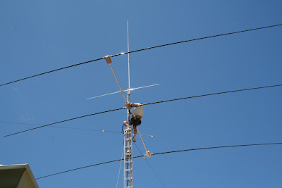 Real-World Amateur Radio: SteppIR Performance From Two Wires