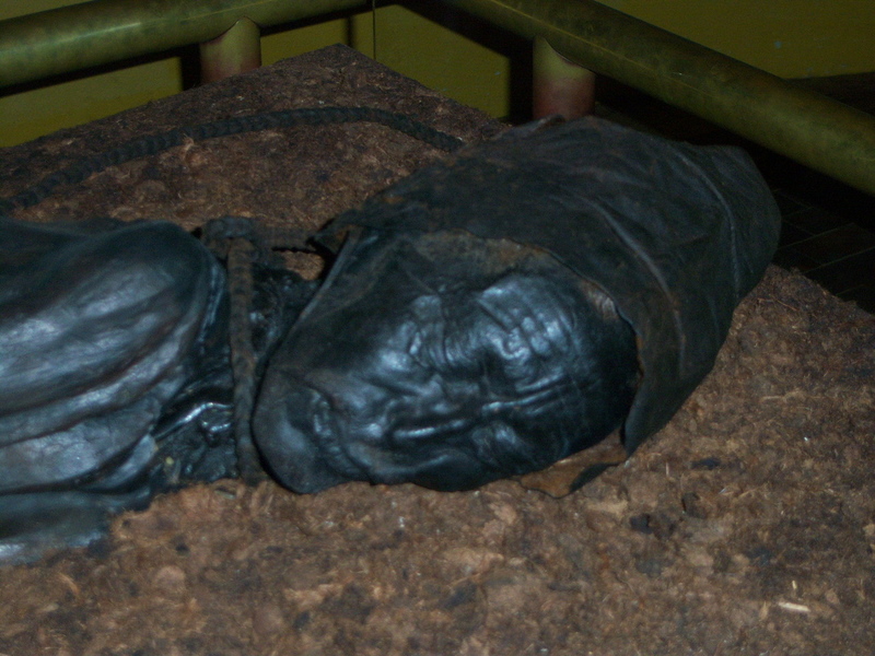 Denmark Road Ways Two on the loose. Dan with down travels anywhere ...