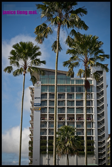 HISTORY: Formation of Association.