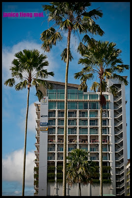 HISTORY: Formation of Association.