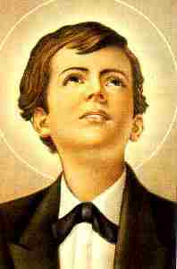 LICEO SANTO DOMINGO SAVIO: BIOGRAFIA DOMINGO SAVIO