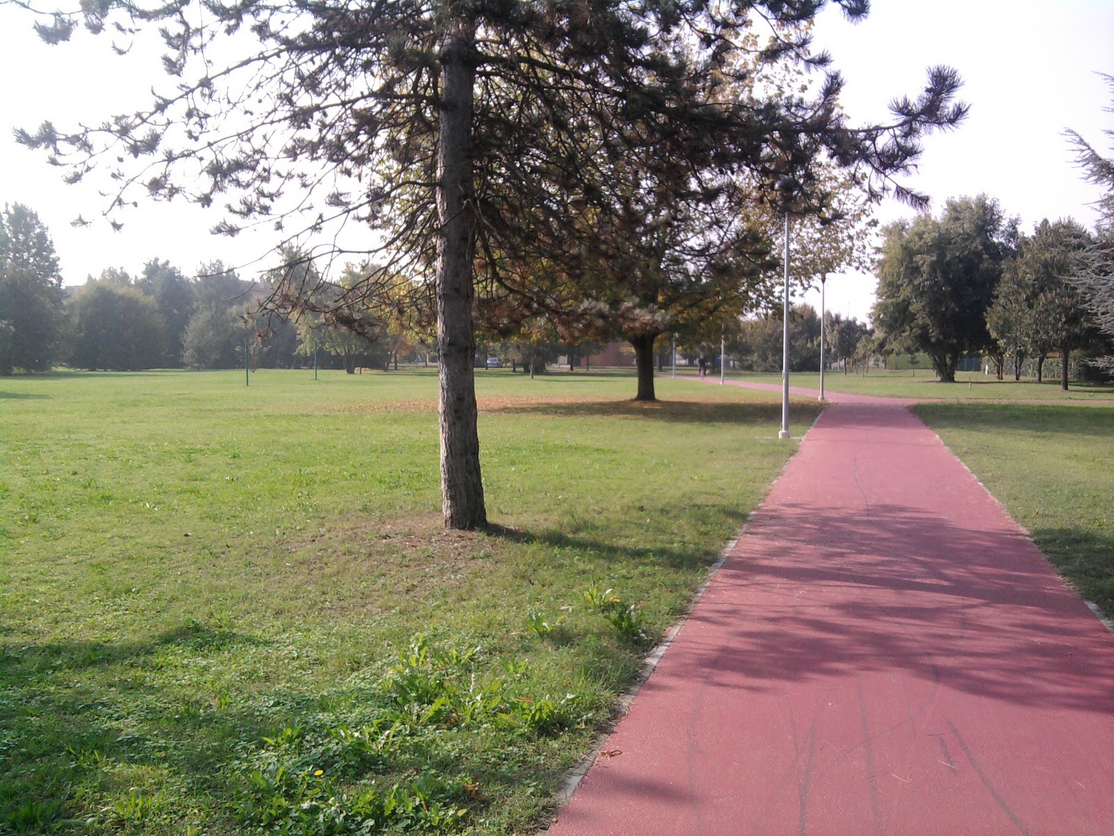 I LOVE MINERBIO: IO AMO MINERBIO - di Pincelli Gianni