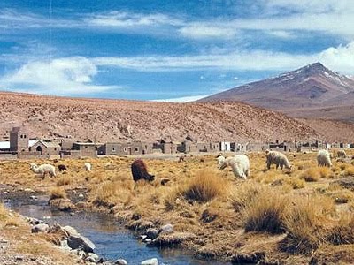 PERÚ: País Maravilloso: 7.- La Puna