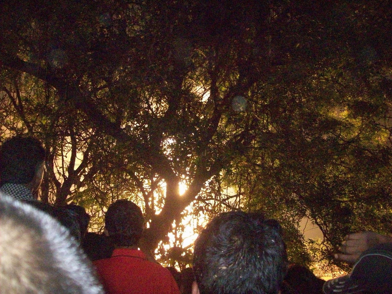 Welcome to Nenmara / Nemmara Village!: WELCOME TO NENMARA / NEMMARA ...