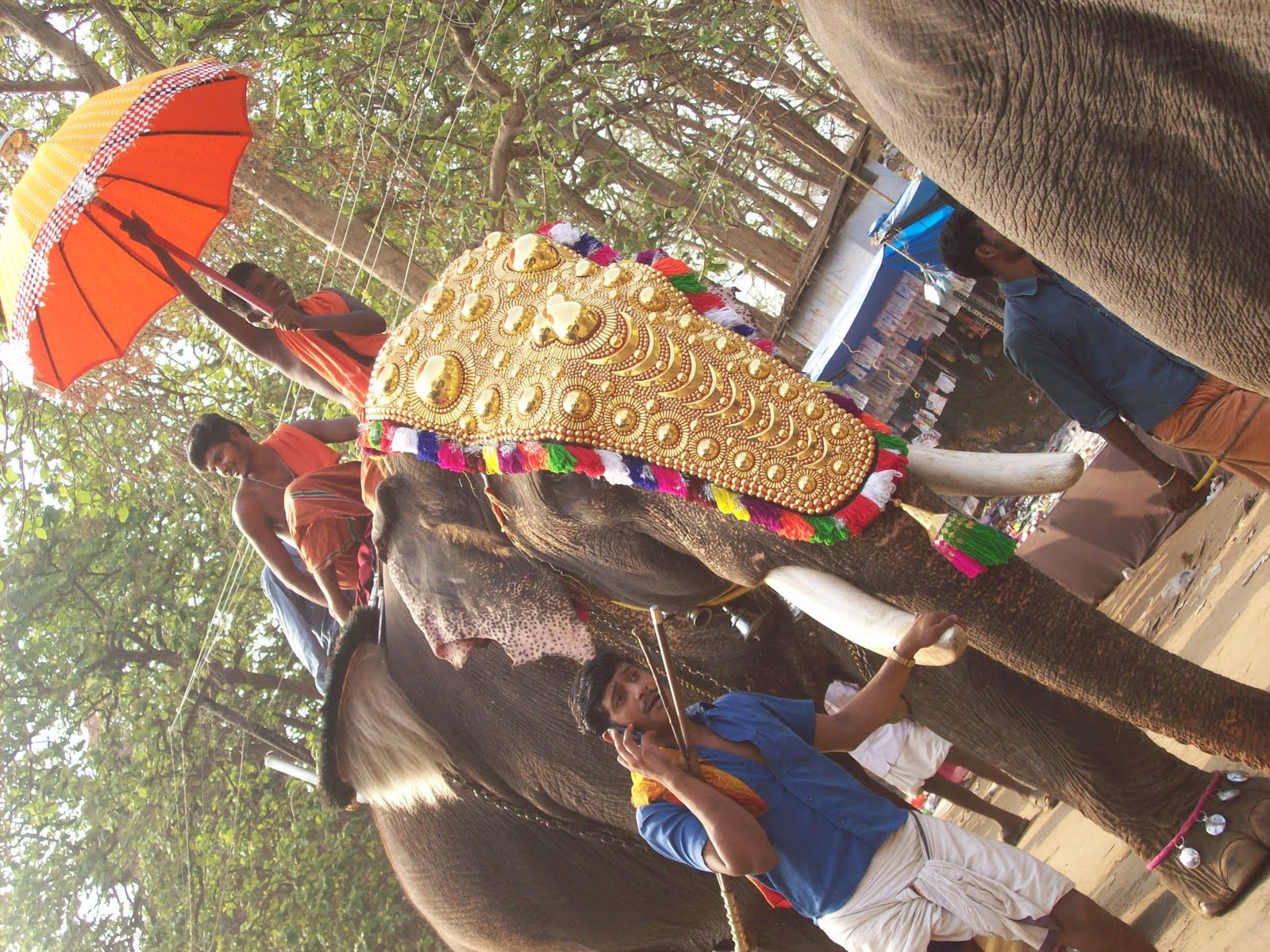 Welcome to Nenmara / Nemmara Village!: WELCOME TO NENMARA / NEMMARA ...