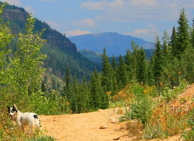 Travel Update for Family and Friends: Thirty Mile Campground Creede ...