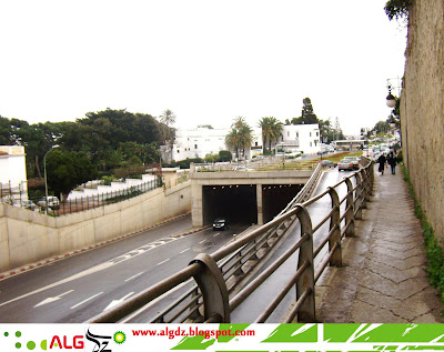 Photos d'Alger,l'Algérie visiter l' Algérie en image à tout moment: Télemly un quartier chic de ...