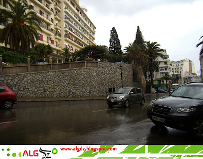 Photos d'Alger,l'Algérie visiter l' Algérie en image à tout moment: Télemly un quartier chic de ...
