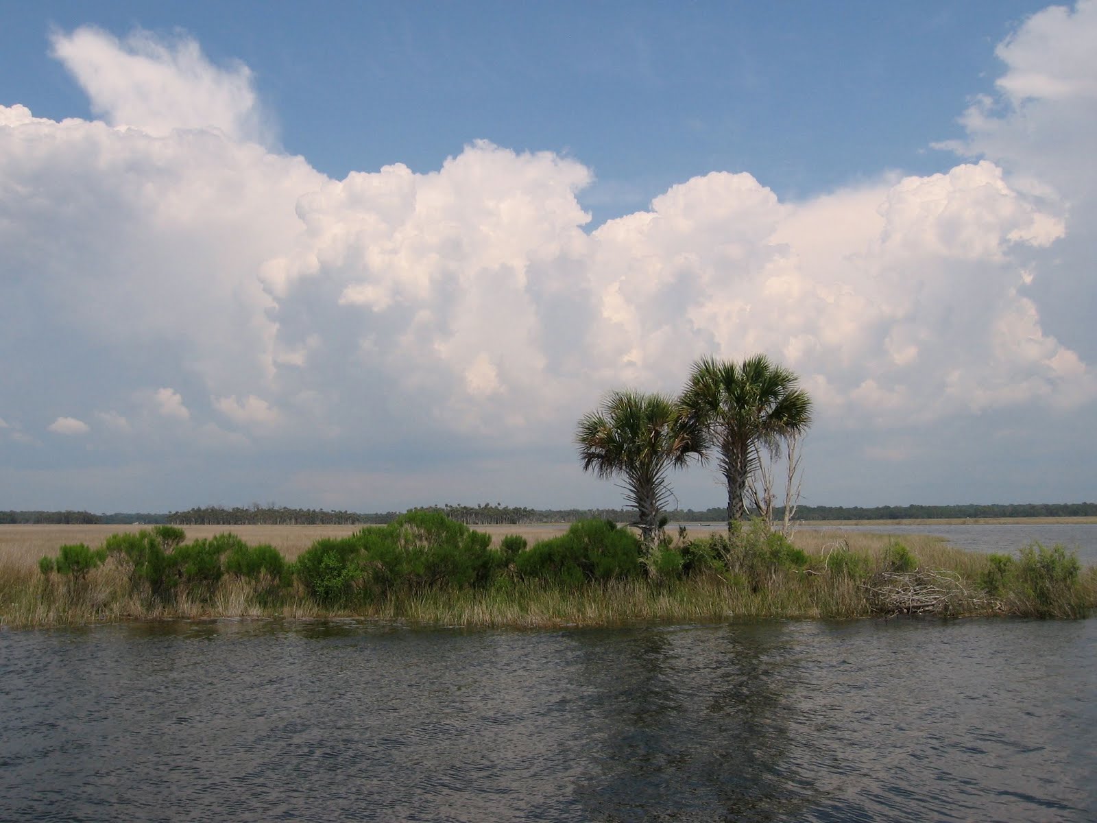 ELIZABETH LEADER BLOG: VISIT TO THE GULF COAST - BAYPORT, FLORIDA