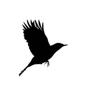 tattoo inspiration | Black bird tattoo, Birds tattoo, Silhouette tattoos