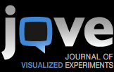 Journal of Visualized Experiments