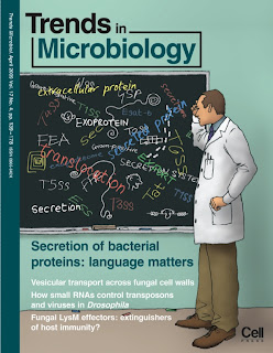 About the fabulous covers of the Trends journals