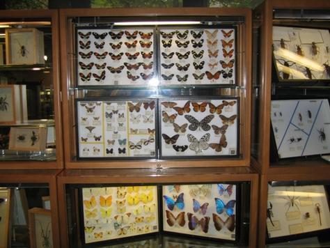 Integrating Theory & Practice: Developing ideational fluency