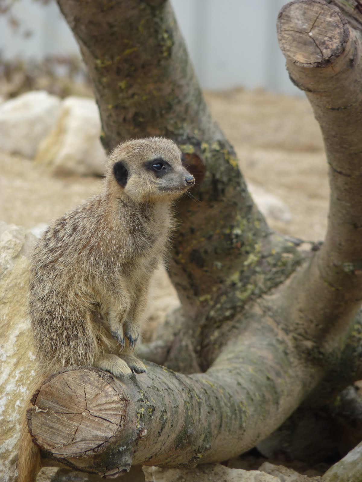 John Oram - A Life With Pictures: August 2010