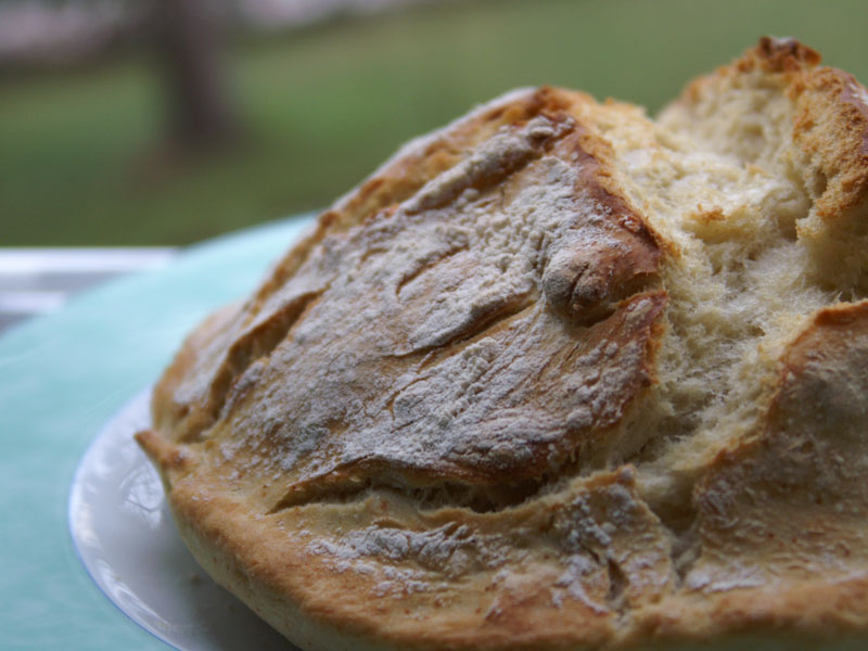 Objetivo: Cupcake Perfecto.: Mi primer pan