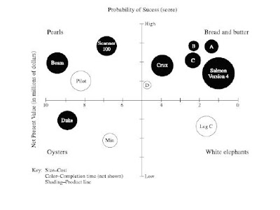 Art and Science of Software Project Management: What is a portfolio MAP?