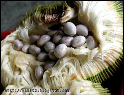 Marang Season | ALL TAUSUG
