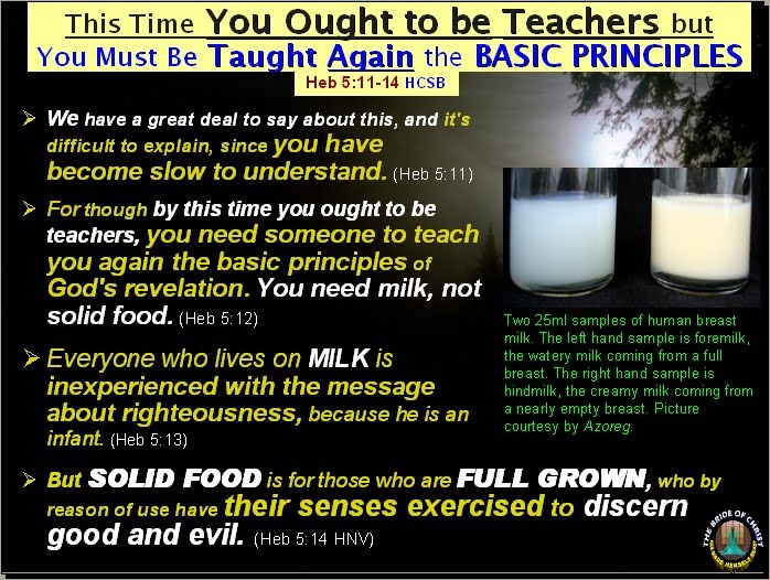 COLUMNA BITES OF WISDOM: YOU ARE SUPPOSED TO BE TEACHERS BY NOW. But ...