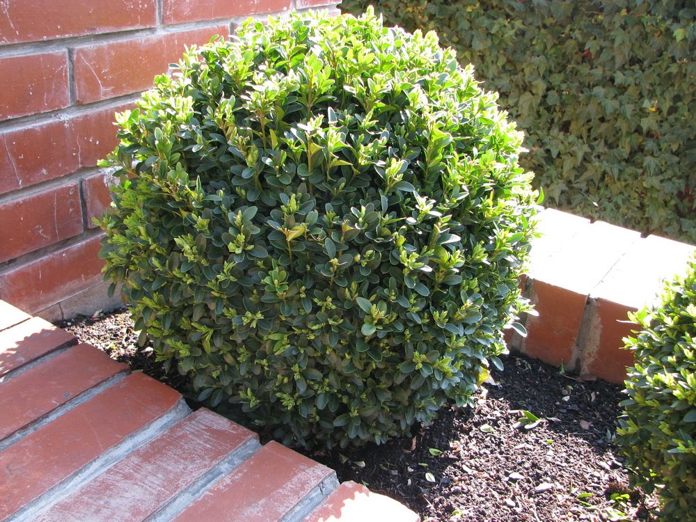 Foto Studio Miki Radocaj (Wallpaper Art): zbun