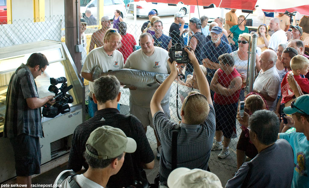 Racine Post: A world record for Salmon-a-Rama? So far*, so good